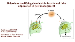 Behaviour modifying chemicals in insects , semiochemicals in insects ...