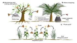 Behaviour modifying chemicals in insects , semiochemicals in insects ...