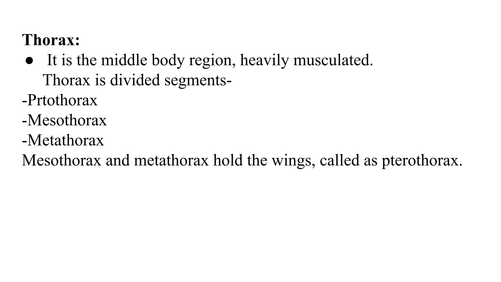 Insect morphology | PDF