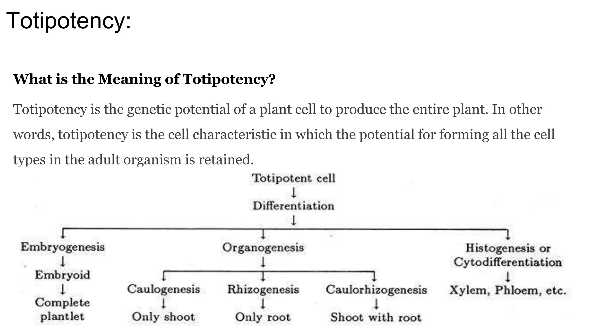 totipotency | PPTX
