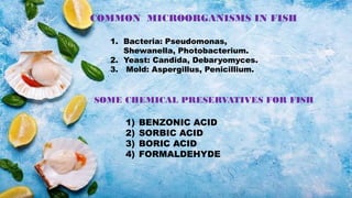 Fish and sea food ppt -sources, spoilage, prevention, contamination. | PPTX