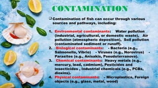 Fish and sea food ppt -sources, spoilage, prevention, contamination. | PPTX