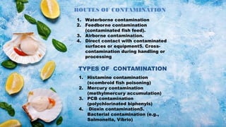 Fish and sea food ppt -sources, spoilage, prevention, contamination. | PPTX