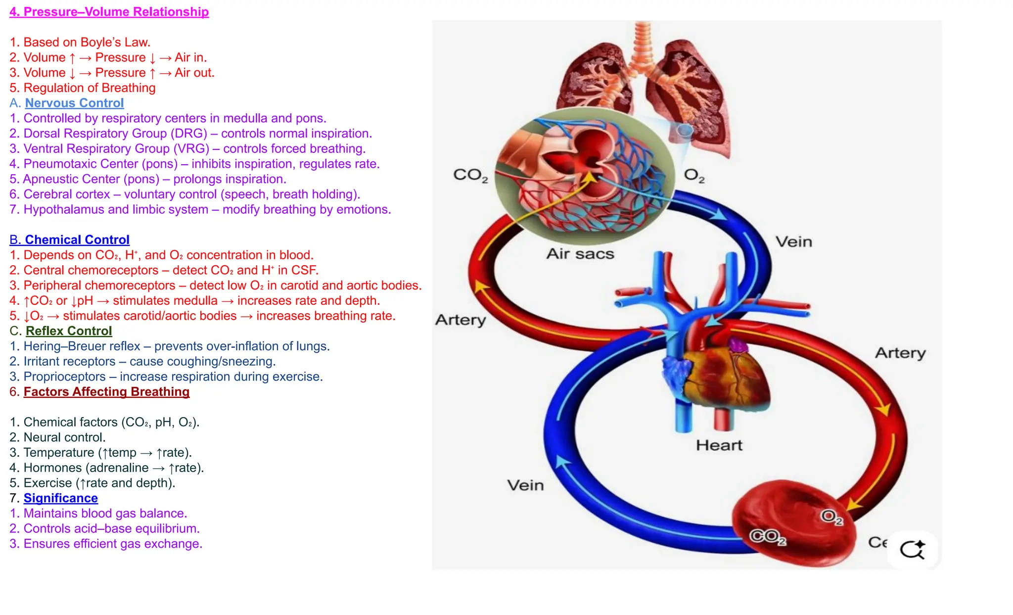 UntitlComparative Animal Physiology: Digestion, Respiration ...