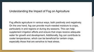 Fog Control in Agriculture: Enhancing Crop Growth and Yield | PPT