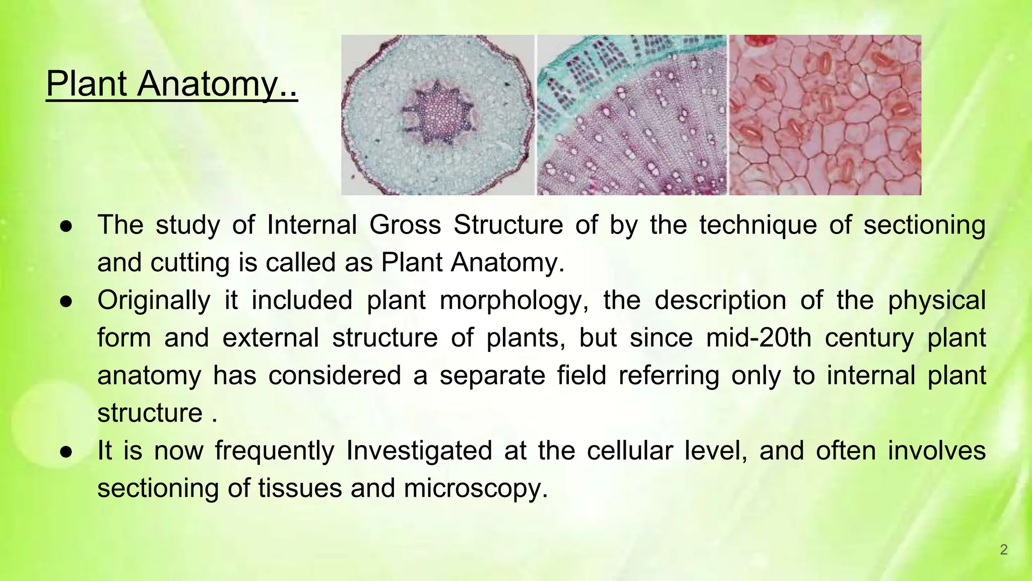 Scope and significance of plant anatomyy | PPTX