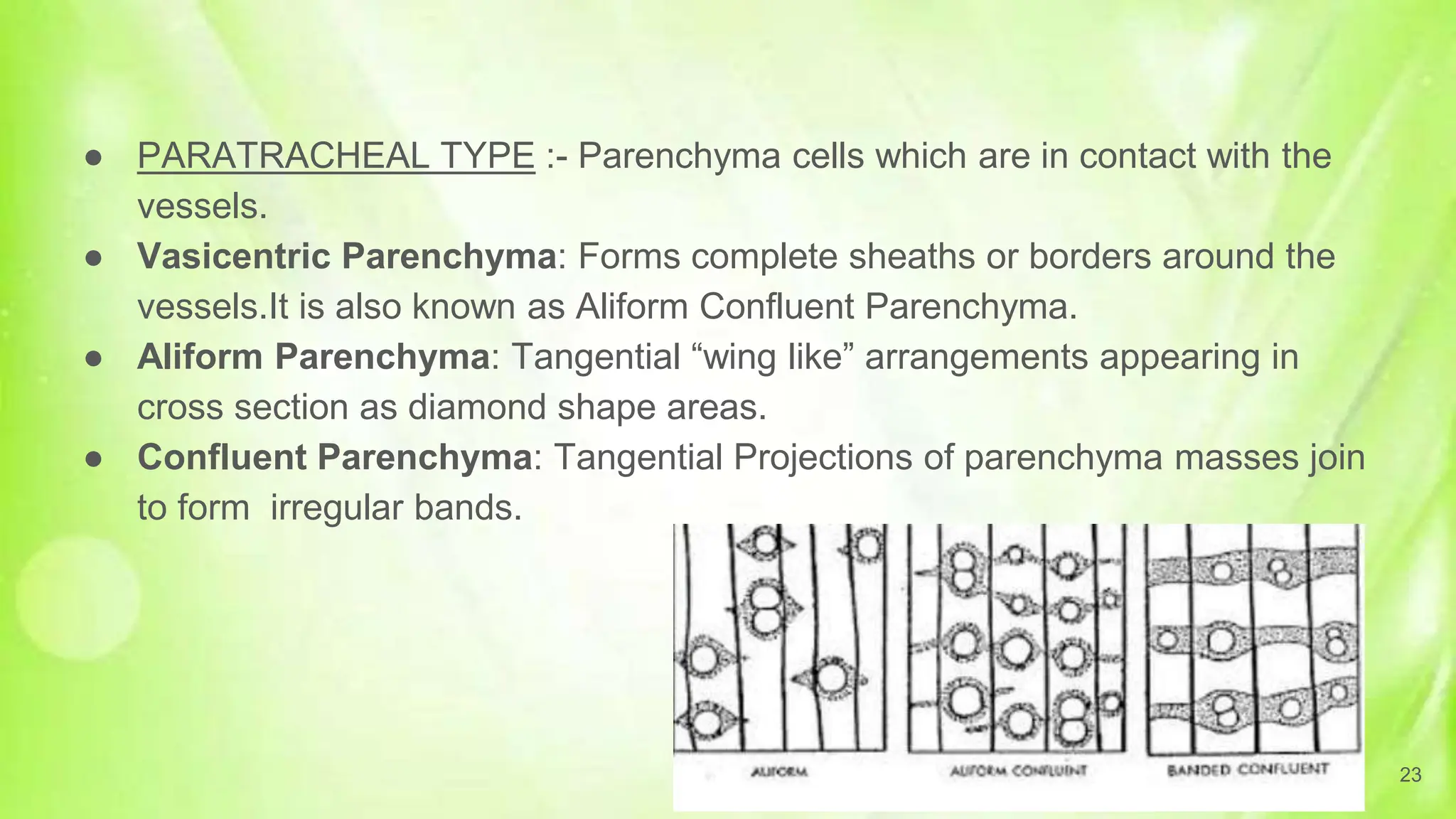 Scope and significance of plant anatomyy | PPTX