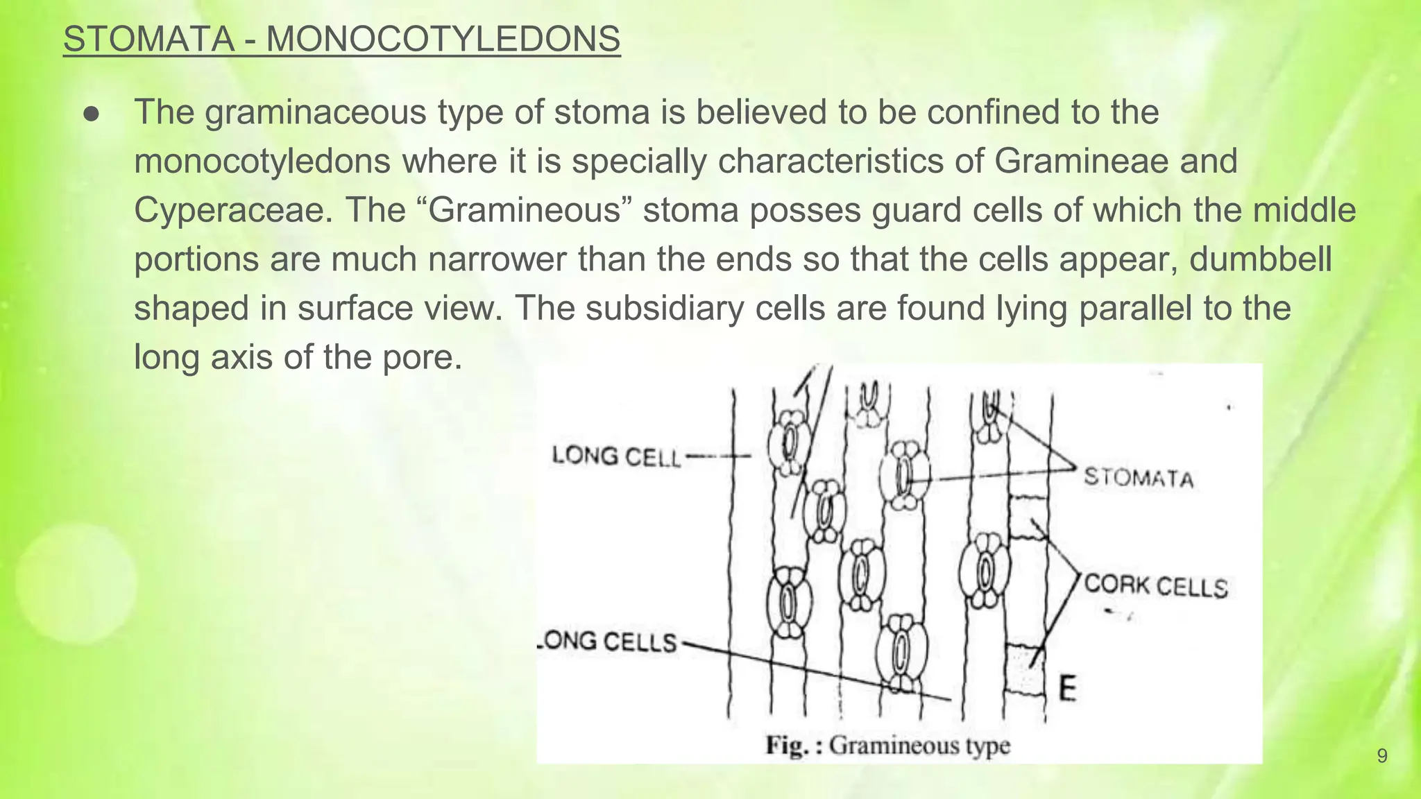 Scope and significance of plant anatomyy | PPTX