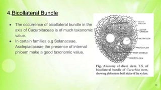 Scope and significance of plant anatomyy | PPTX