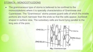Scope and significance of plant anatomyy | PPTX