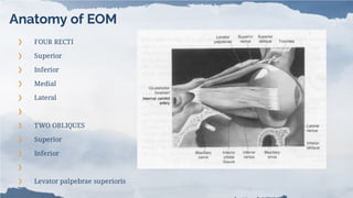 Anatomy of extra ocular muscles........... | PDF