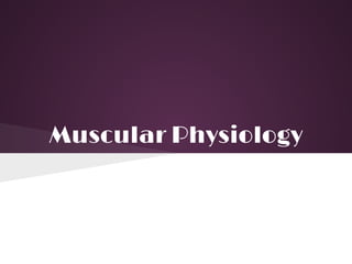 Muscular Physiology | PPT