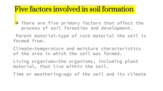 Soil Formation Powerpoint