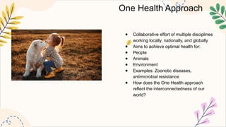 Foundations of Public Health: Building a Healthier World | PPTX