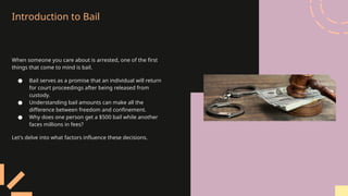 Different Types of Bail Bonds | Bail bonds process and how to get bail ...