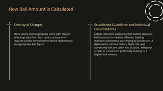 Different Types of Bail Bonds | Bail bonds process and how to get bail ...