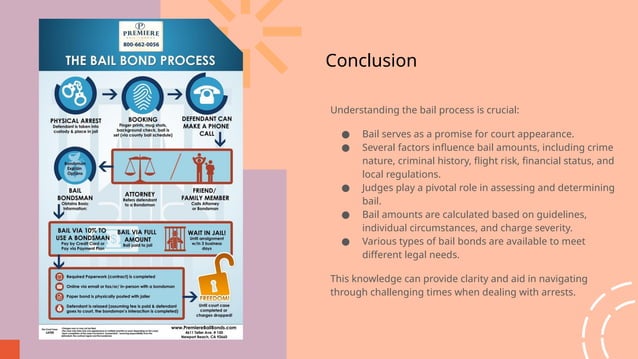 Different Types of Bail Bonds | Bail bonds process and how to get bail ...