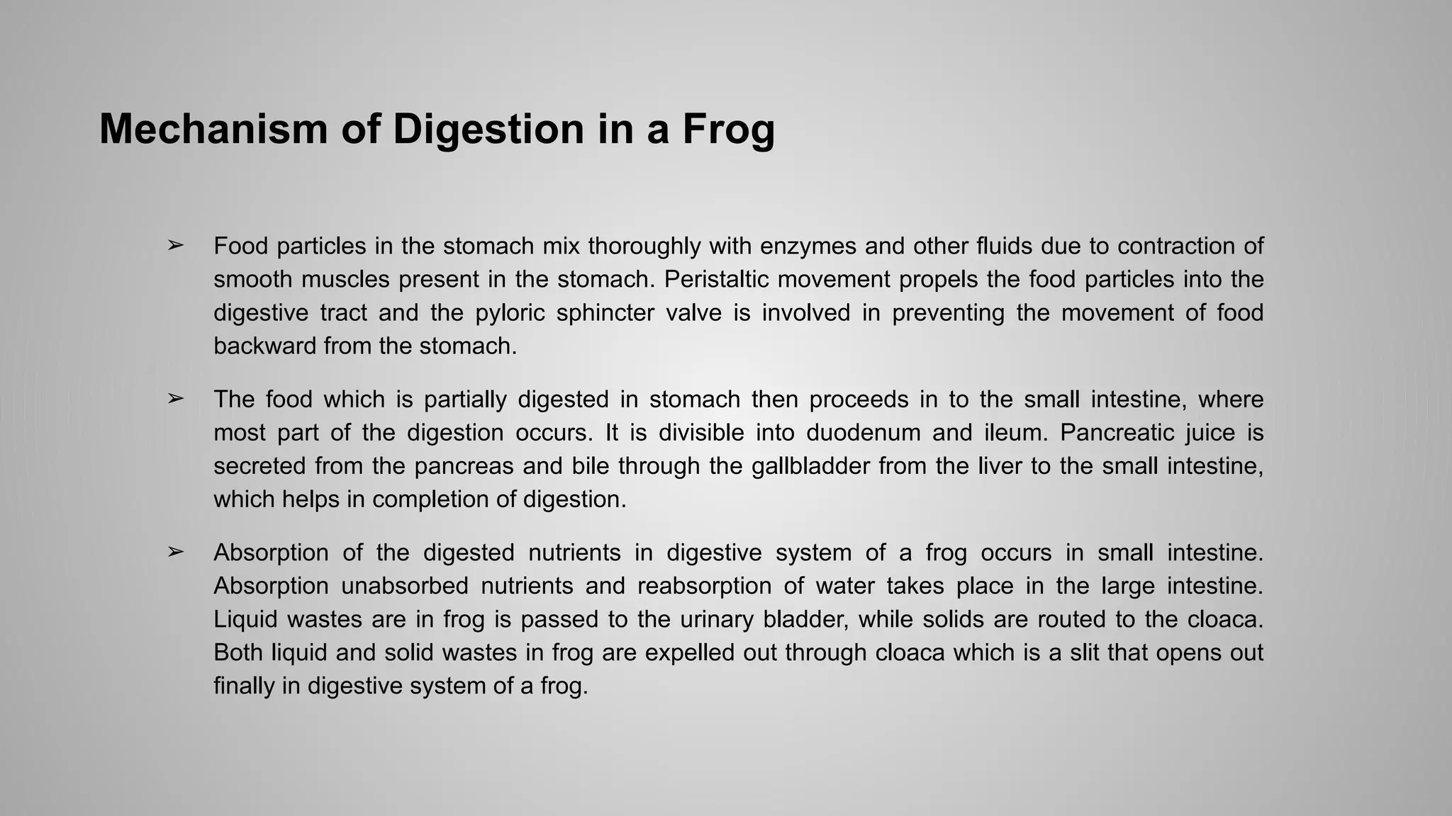 Digestive system of frog and pegion in Animal Biology | PPTX