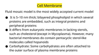 cell membrane and cytoplasmic matrix microbiology | PPTX