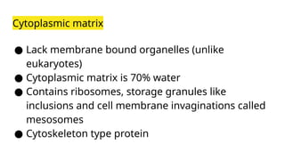 cell membrane and cytoplasmic matrix microbiology | PPTX