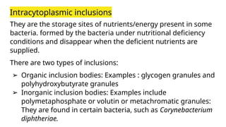 cell membrane and cytoplasmic matrix microbiology | PPT