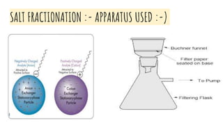 SALT FRACTIONATION - PROTEINS AND ENZYMES ASSIGNMENT | PPTX