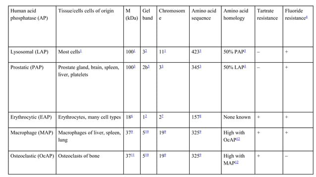 ACID PHOSPHATASE - PROTEINS AND ENZYMES ASSIGNMENT | PPTX | Blood ...
