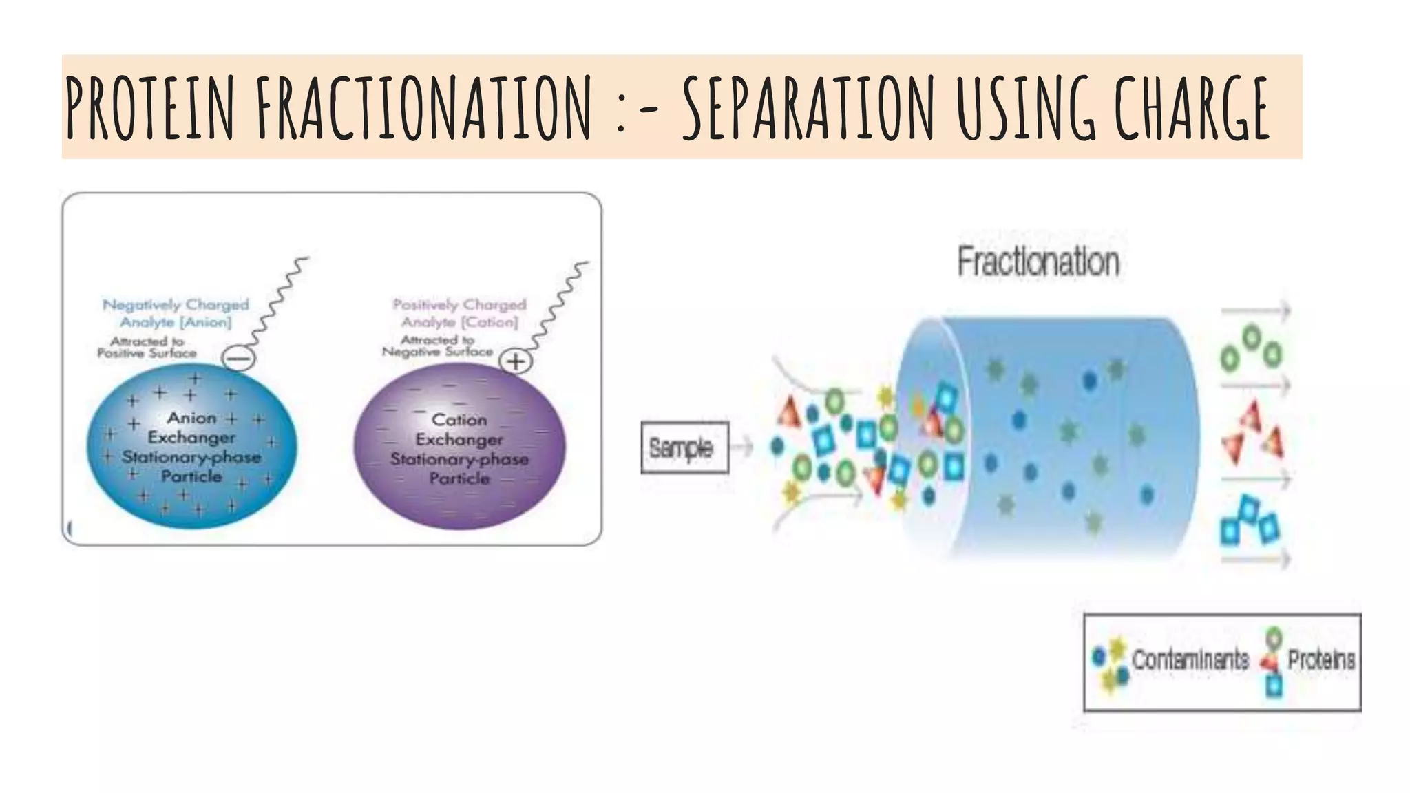 DIFFERENT METHODS OF PROTEIN ESTIMATION - PROTEINS AND ENZYMES ...
