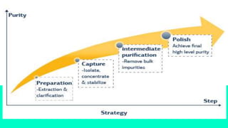 DIFFERENT METHODS OF PROTEIN ESTIMATION - PROTEINS AND ENZYMES ...