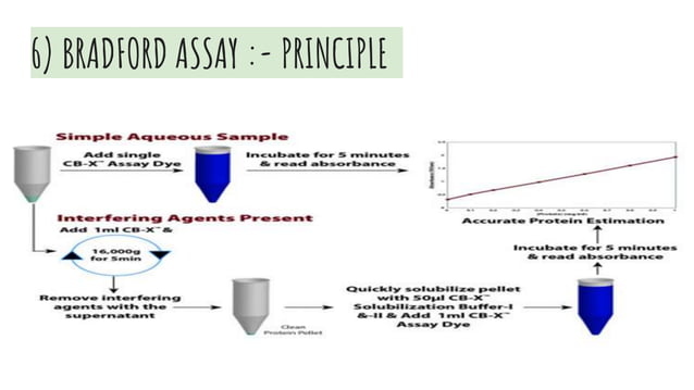 DIFFERENT METHODS OF PROTEIN ESTIMATION - PROTEINS AND ENZYMES ...