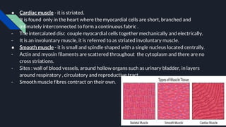 organisation of human body at tissue level | PPT