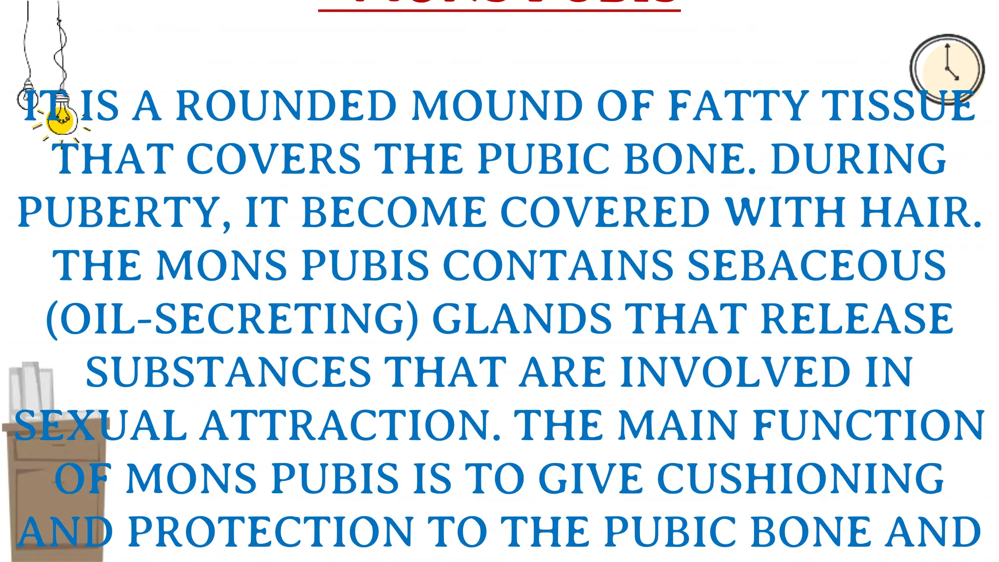 Anatomy of female reproductive system ppt | PPTX