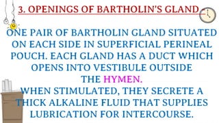 Anatomy of female reproductive system ppt | PPTX