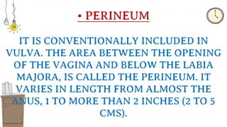 Anatomy of female reproductive system ppt | PPTX