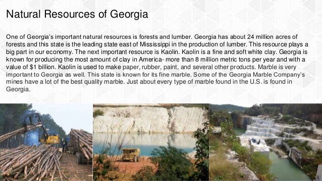 Flora and Fauna of Georgia