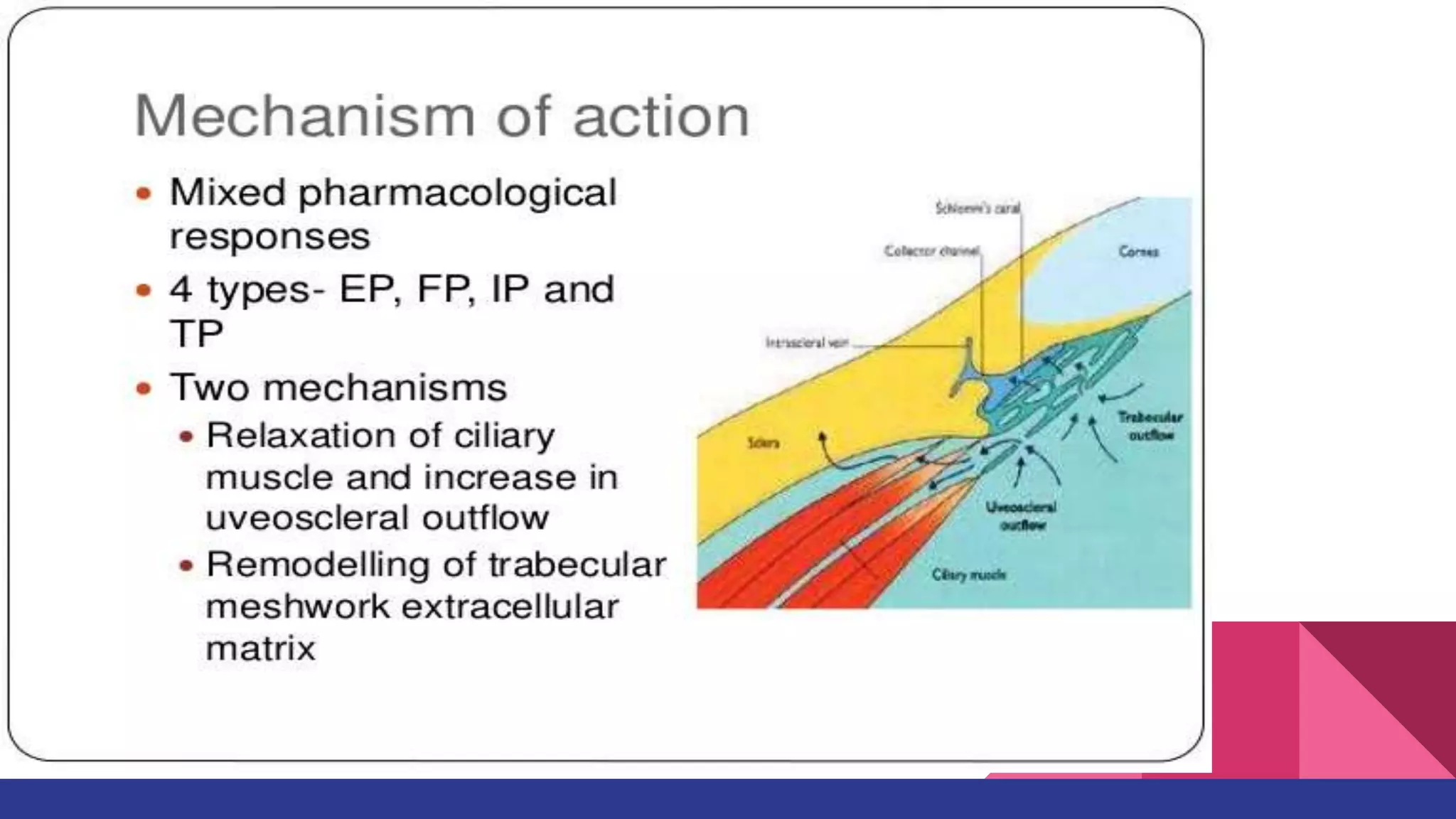 MYDRIATIC AND MIOTIC AGENTS AND DRUGS USED IN GLAUCOMA | PPTX | Illegal ...