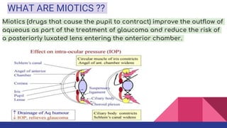MYDRIATIC AND MIOTIC AGENTS AND DRUGS USED IN GLAUCOMA | PPTX