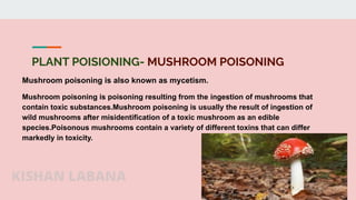 Mushroom poisoning and caustics-inorganic acids and alkali | PDF