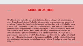 Mushroom poisoning and caustics-inorganic acids and alkali | PDF