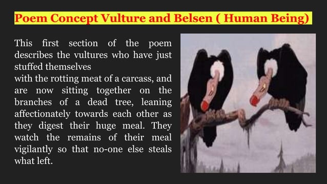 The poem Vulture, the bird refers to what? Whether it is a metaphor. | PPT