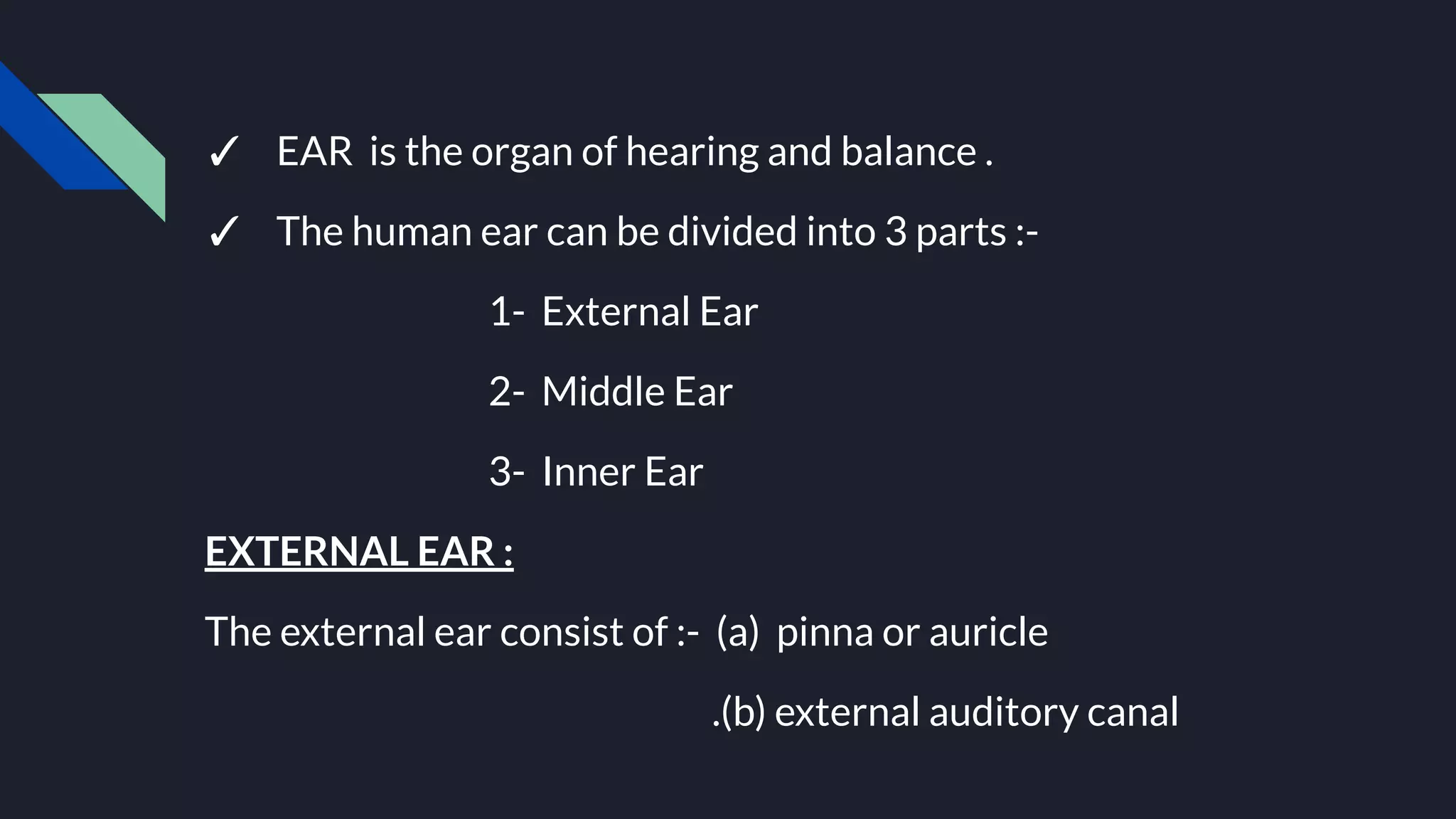 TYMPANIC MEMBRANE PERFORATIONS | PDF