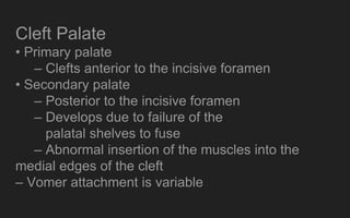 cleft lip and palate by malik ashim | PPT