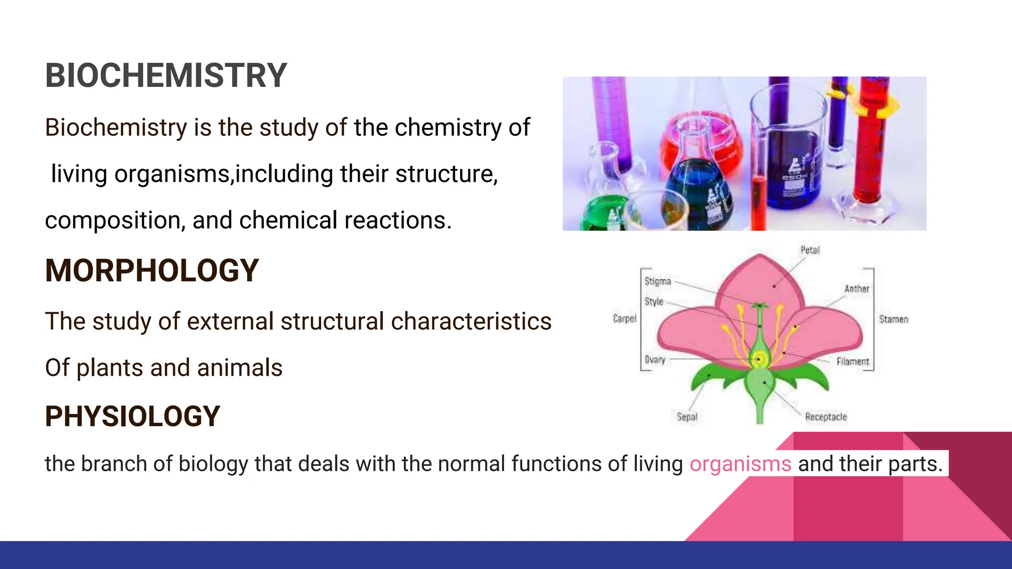 Introduction of Biology in living organisms | PPTX