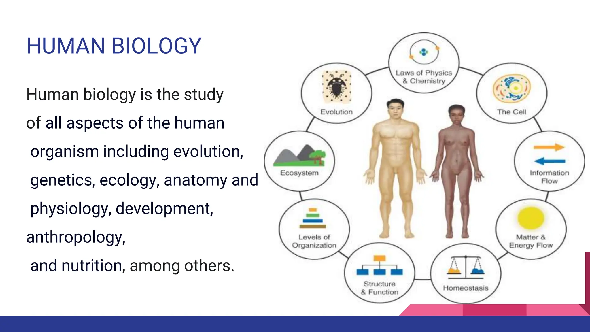 Introduction of Biology in living organisms | PPTX