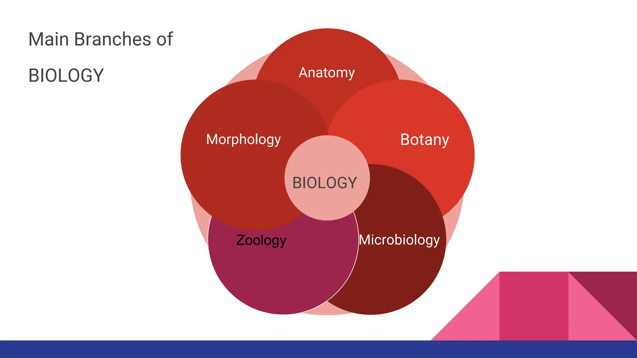 Introduction of Biology in living organisms | PPTX