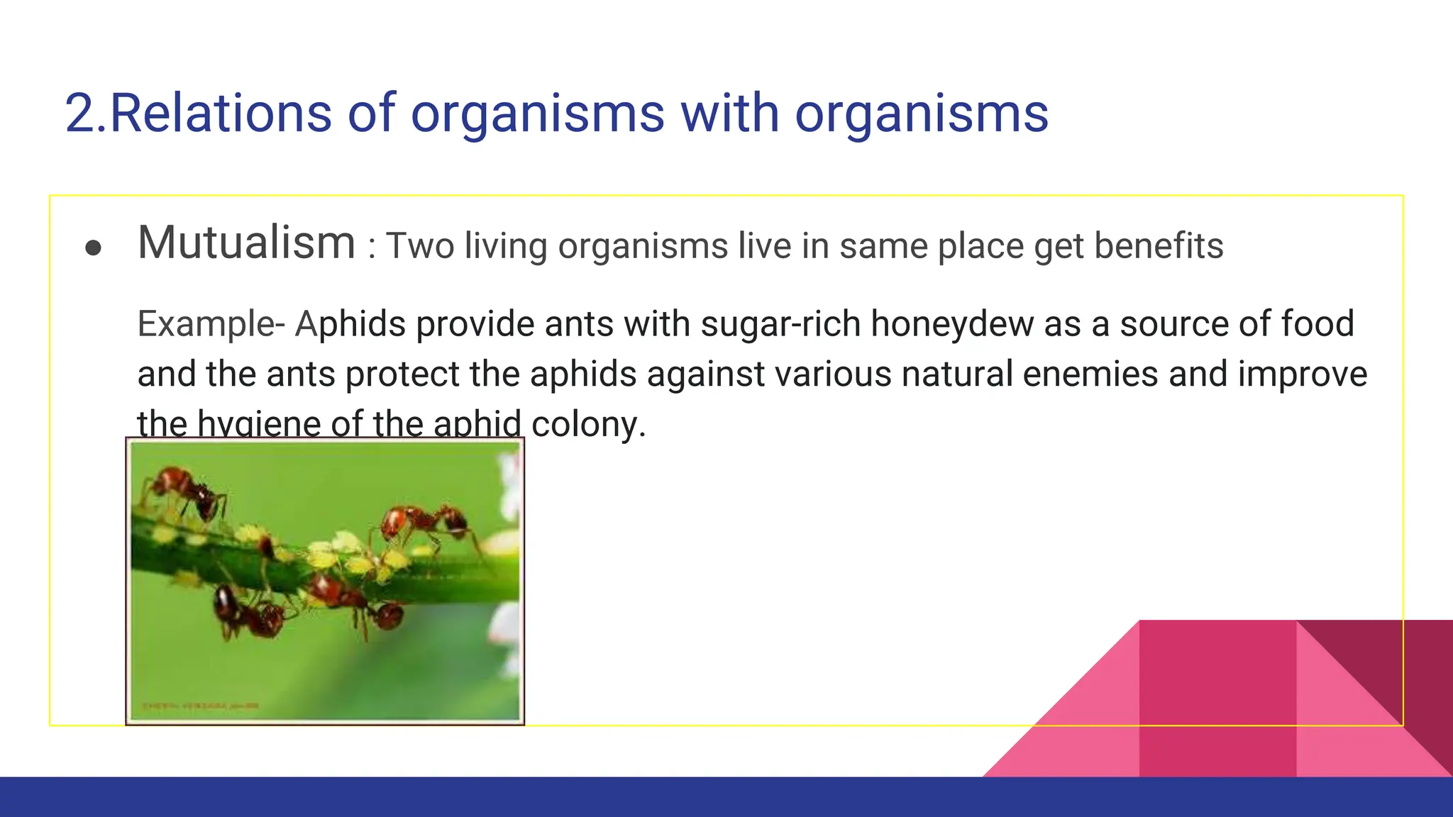 Introduction of Biology in living organisms | PPTX