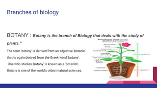 Introduction of Biology in living organisms | PPTX