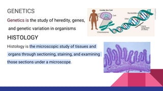 Introduction of Biology in living organisms | PPTX