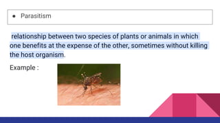 Introduction of Biology in living organisms | PPTX