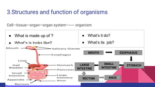 Introduction of Biology in living organisms | PPTX